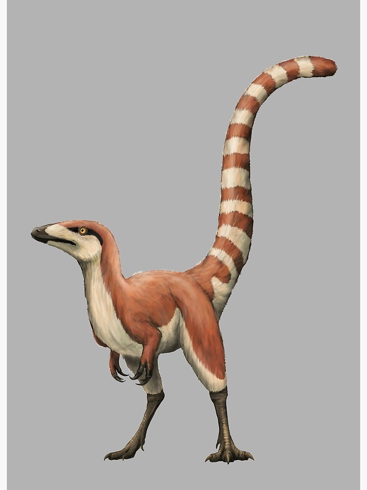 dinosaurios plumas homeotermos Curiosidades de la Biología "Dinosaurios ...