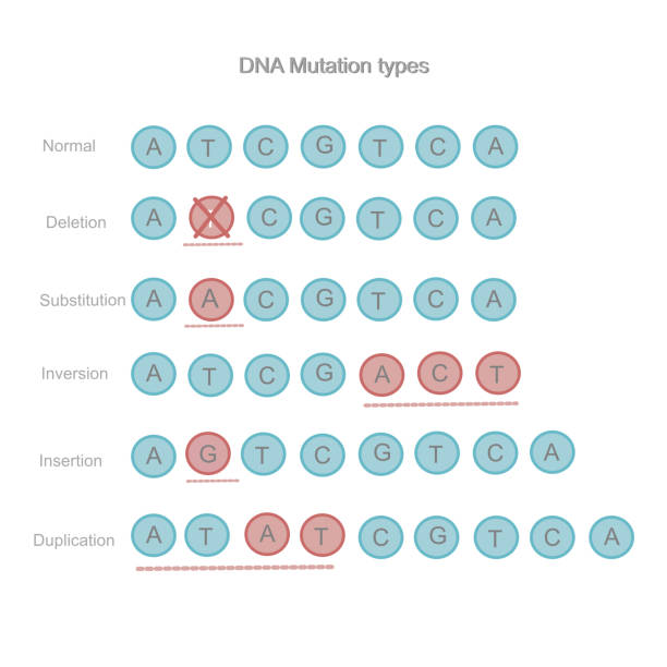 Mutaciones Genéticas: ¿Qué son y Por qué Son Claves en la Evolución?